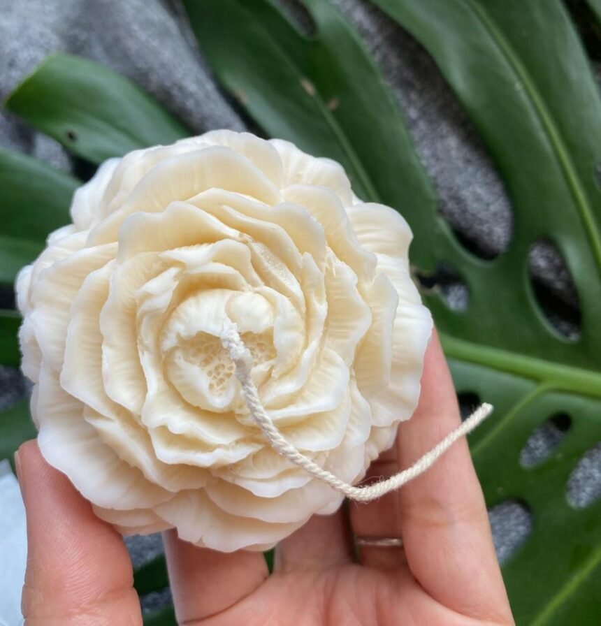 Camel Candle – TapWell